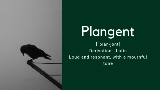 That’s the Word For it: Plangent – Booknomics
